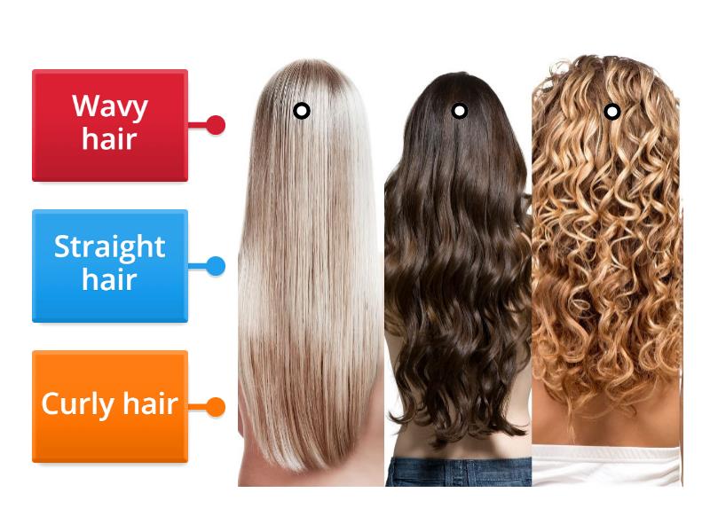 Hair types - Labelled diagram