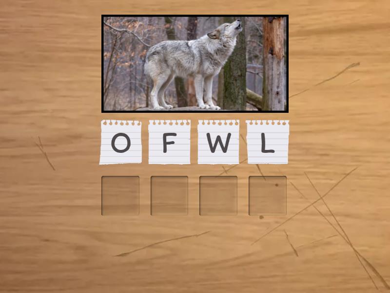 Wild animals - Anagrama