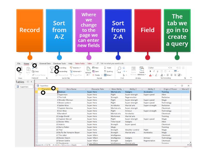 LABELLING THE DATABASE - Labelled diagram