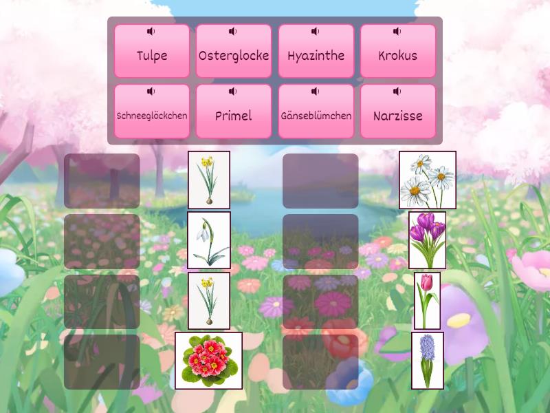Frühblüher - Match up