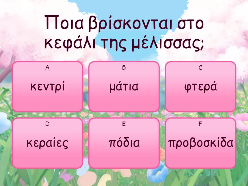 Η ΜΕΛΙΣΣΑ - Quiz