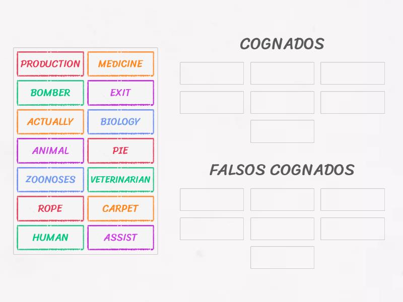 COGNATES AND FALSE COGNATES GAME - Group sort
