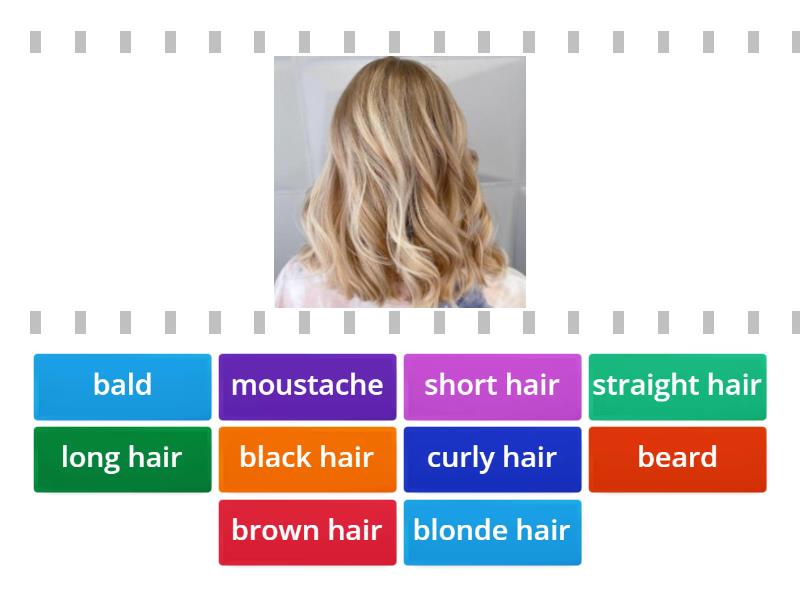 Hair - Find the match