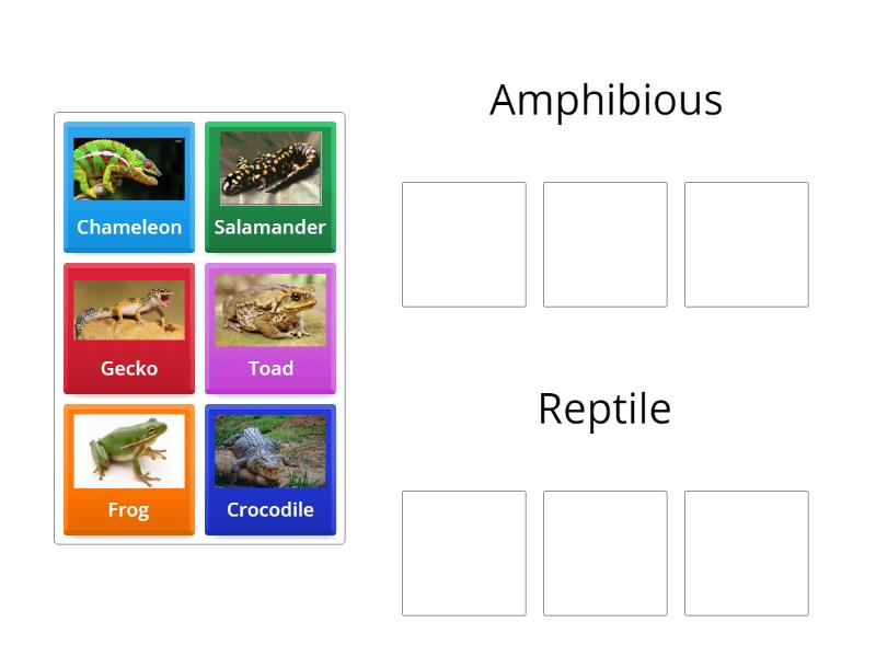 Amphibious vs Reptile - Group sort