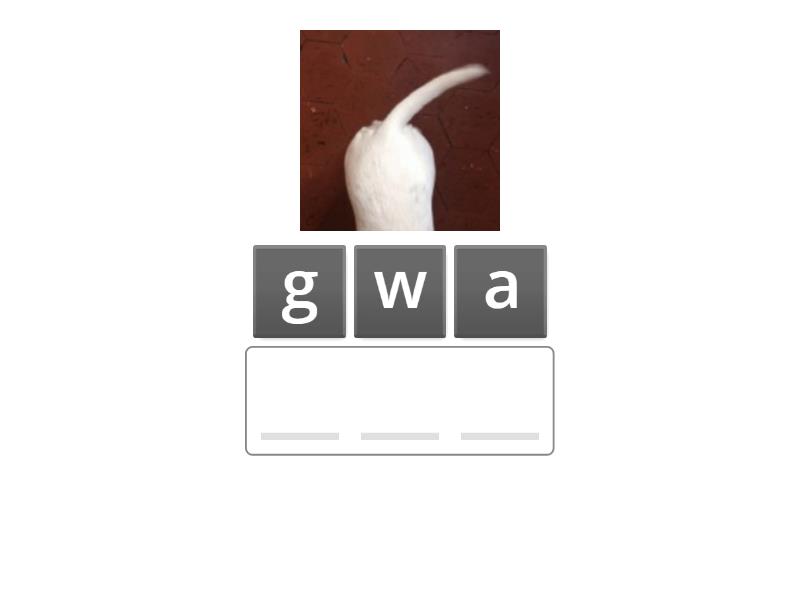 -ag word family for Auto - Anagram