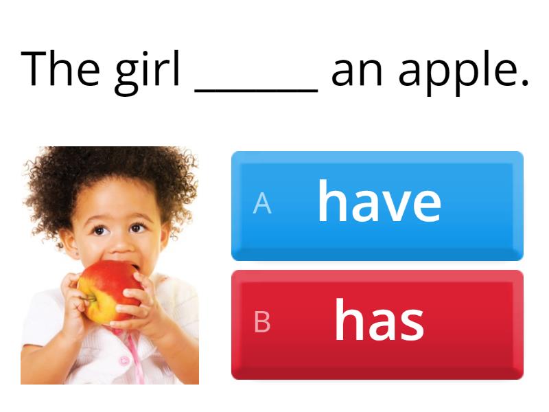 Have / Has Practice - Quiz