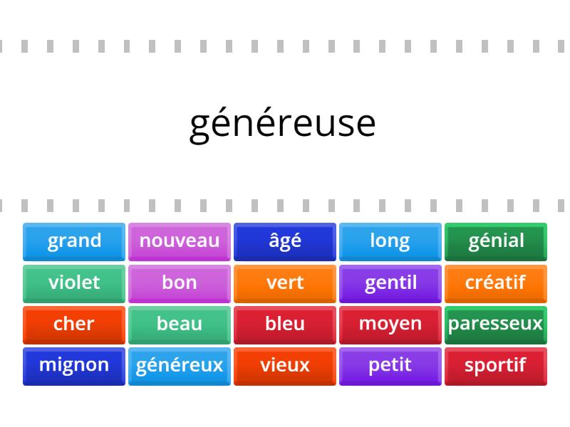 6th grade French adjectives masculine/feminine - Find the match