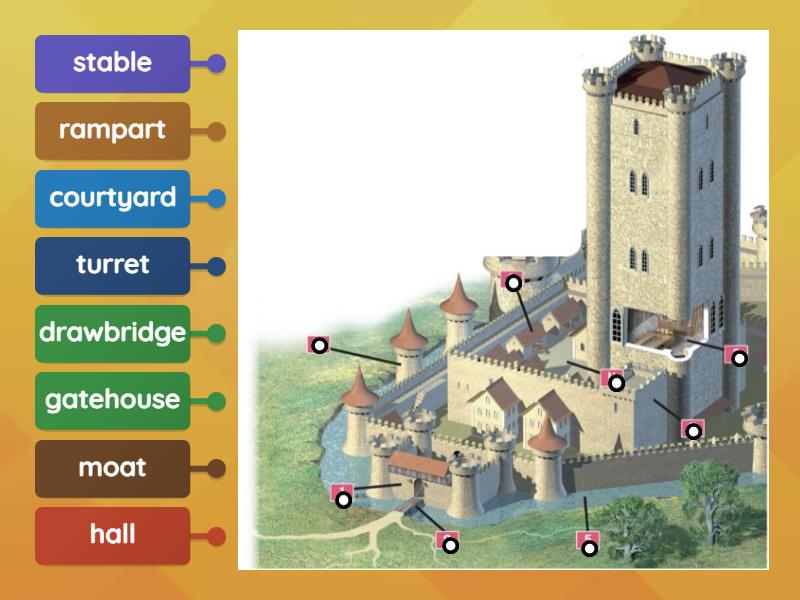 Unit 18 vocab label - Labelled diagram