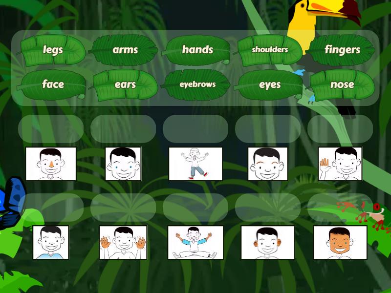 FF1 Unit 3 lesson 3 - Match up