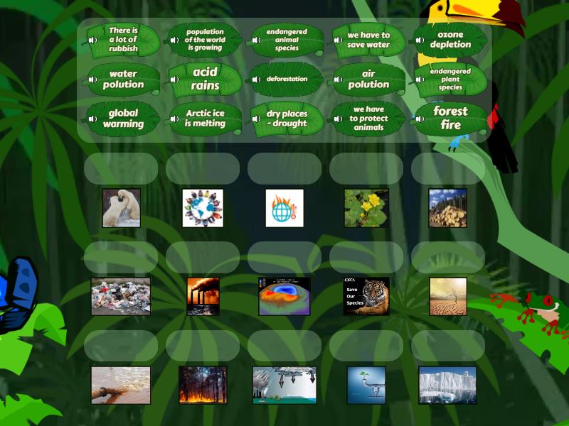 Environment - Match up