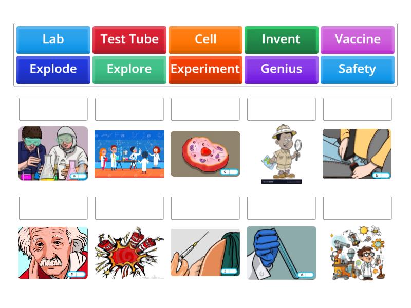 Matching Activity - Match up