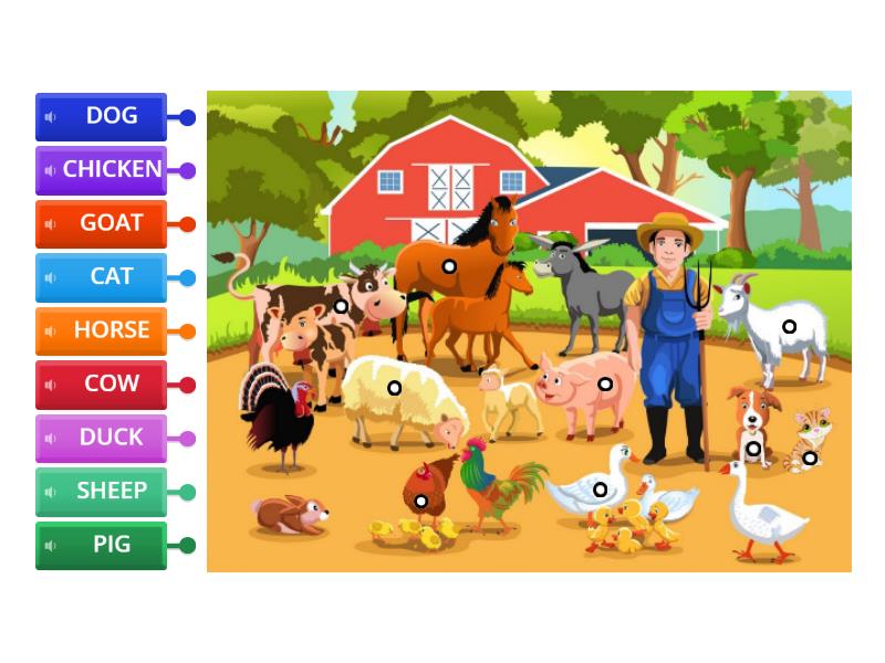 Farm animals Starter - Labelled diagram
