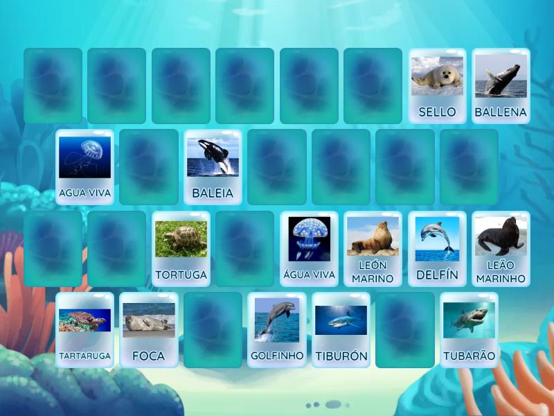 Animales de mar - Matching pairs