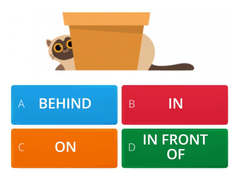 WHERE IS THE CAT? 3 - Cuestionario