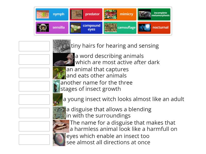 Review third quiz science - Match up
