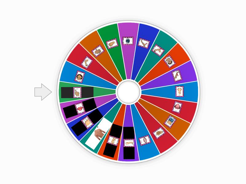 Bingo Cuerpo Humano Spin The Wheel