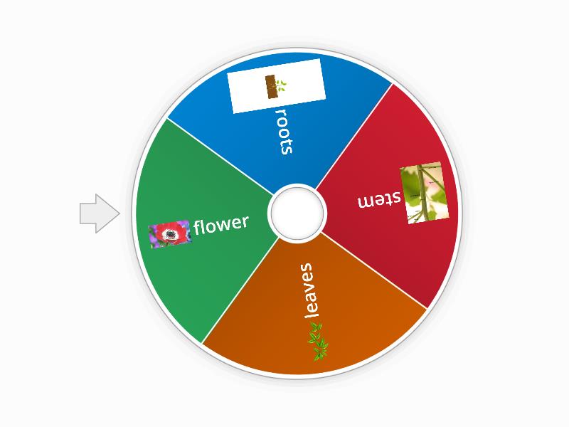 lets - Spin the wheel