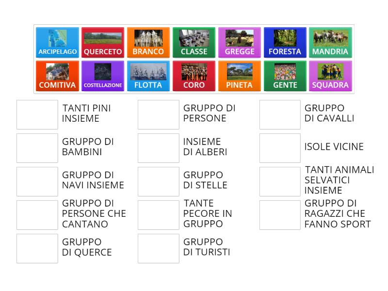 ABBINAMENTI NOMI COLLETTIVI - Match up