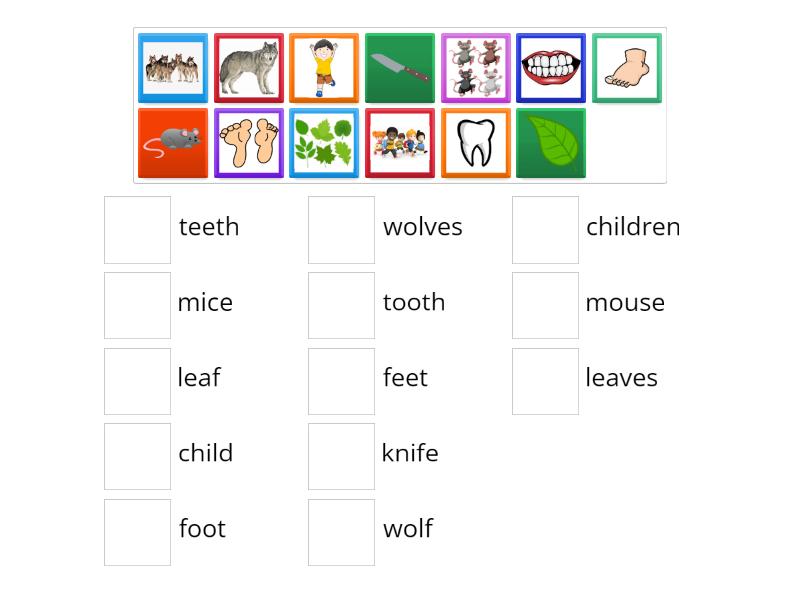 Irregular plural matching - Match up