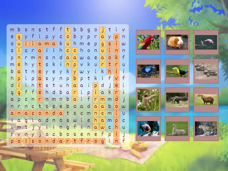 JS 6.33 - South American Animals - Wordsearch