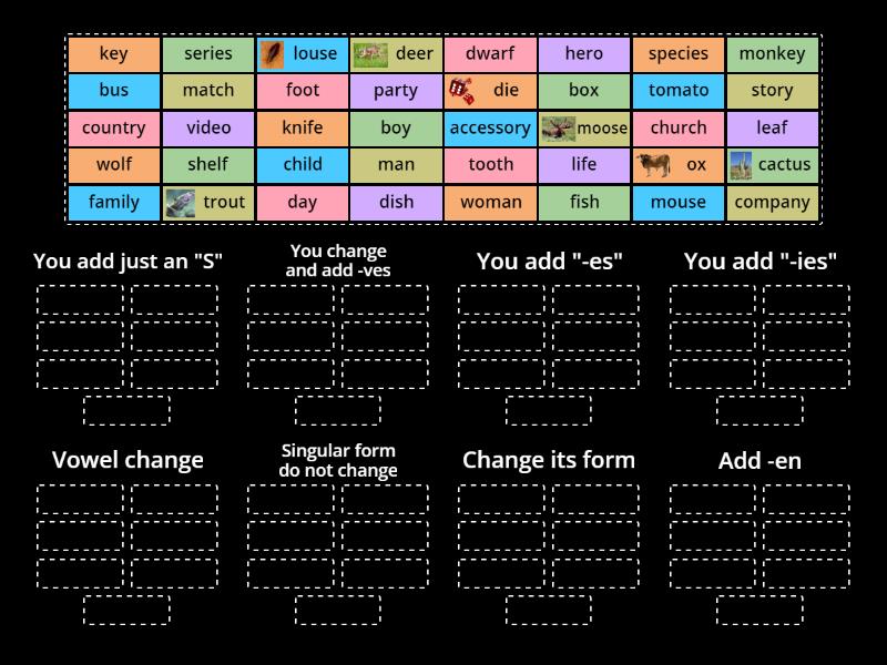 Regular & Irregular Plural Nouns - Group sort