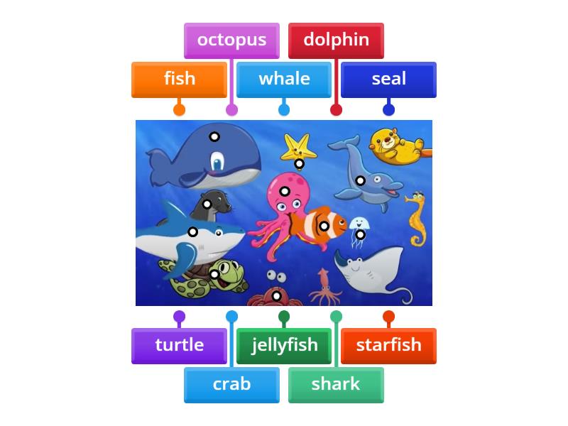 Sea Animals(Kindergarten Visit) - Diagrama con etiquetas