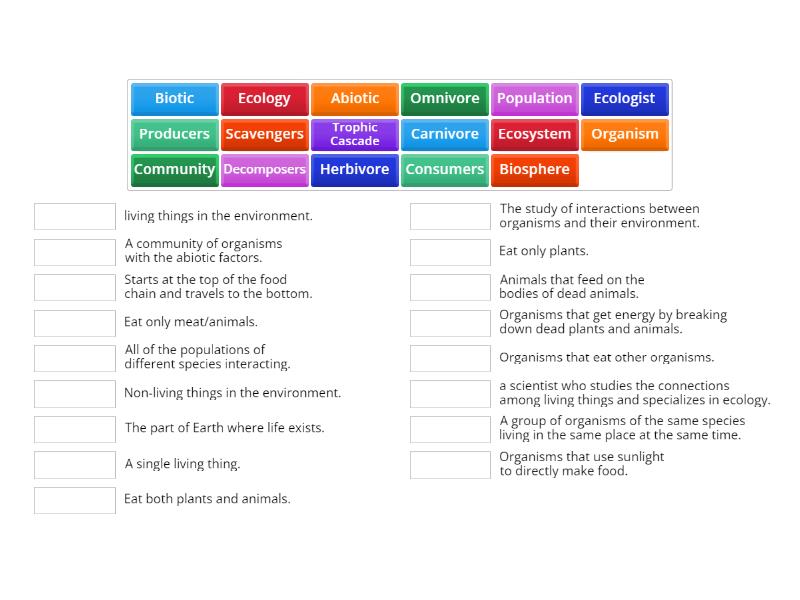 KING: Intro to Ecology (Biology) - Match up