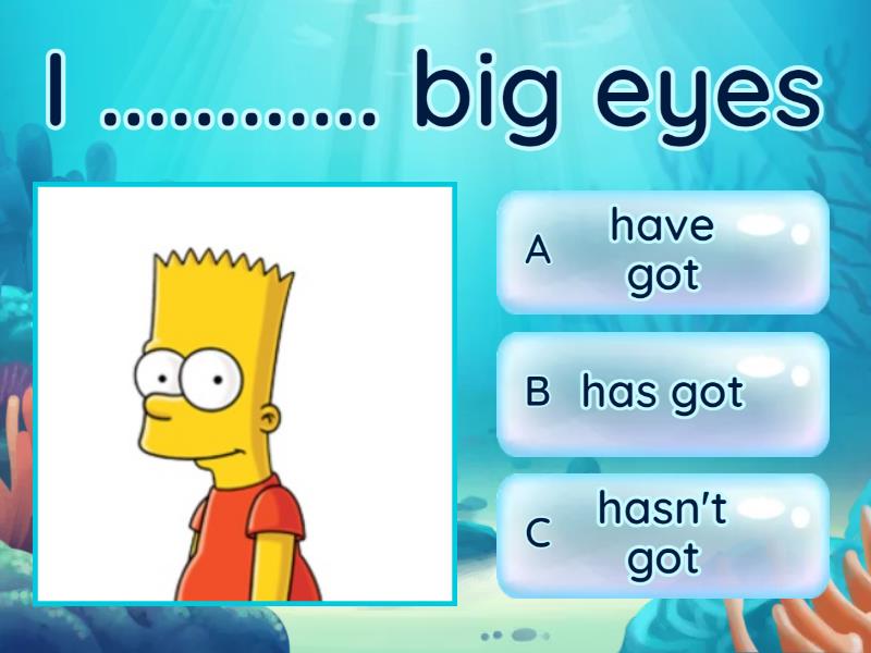 VERB HAVE GOT (POSITIVE-NEGATIVE) - Quiz