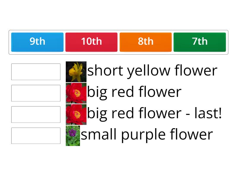 Primary 1 - unit 8 - patterns - Match up