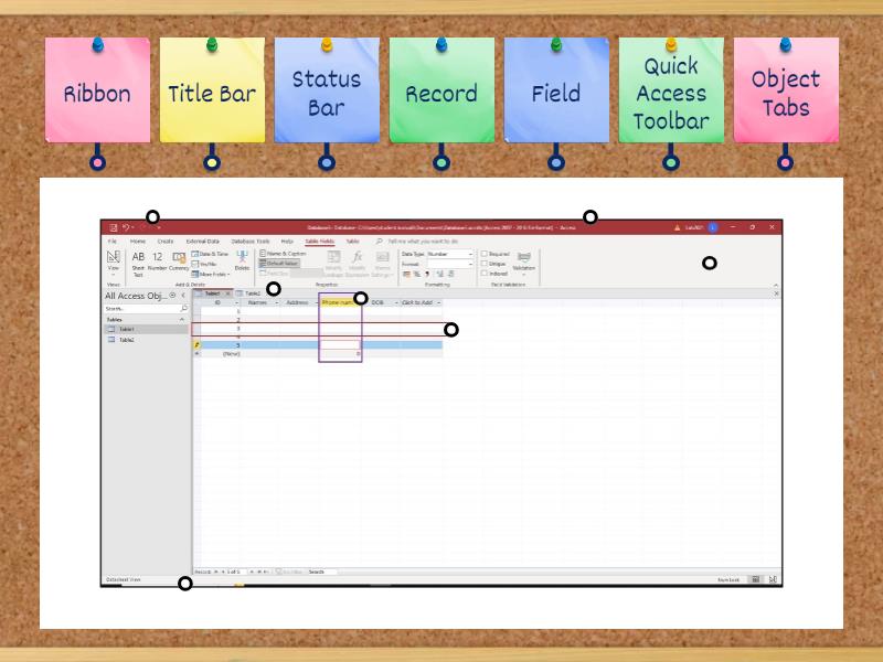 Grade 7 - Reflection - Components of Access! - Labelled diagram