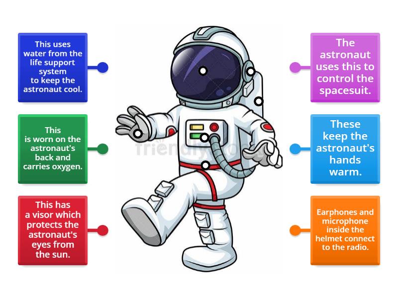 Spacesuit Labelling - Labelled diagram