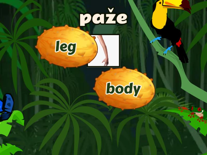 Lesson 7 - Body parts - Flying fruit