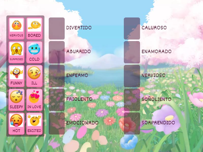 FEELINGS AND EMOTIONS - Match up