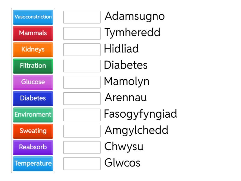 Geiriau Allweddol Homeostasis / Keywords Homeostasis - Match up