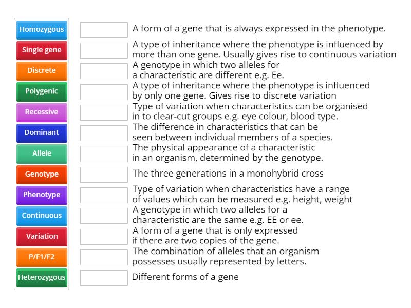 Genetics Definitions - Match up