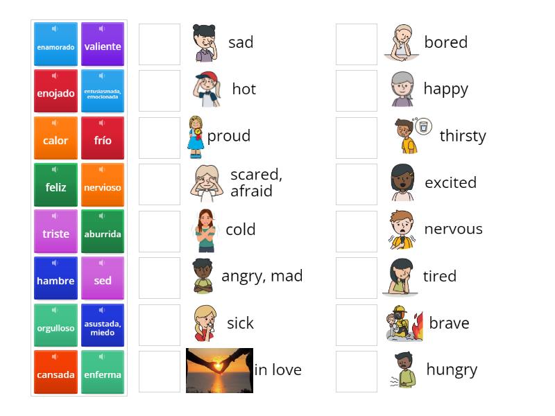 Feelings & Emotions (Sentimientos y emociones) - Match up