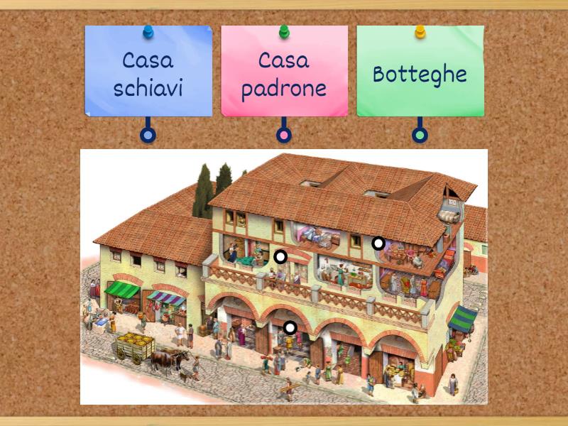 INSULA - ROMANA - Labelled diagram