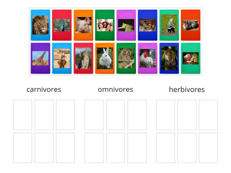 Unit4 g5 - Group sort