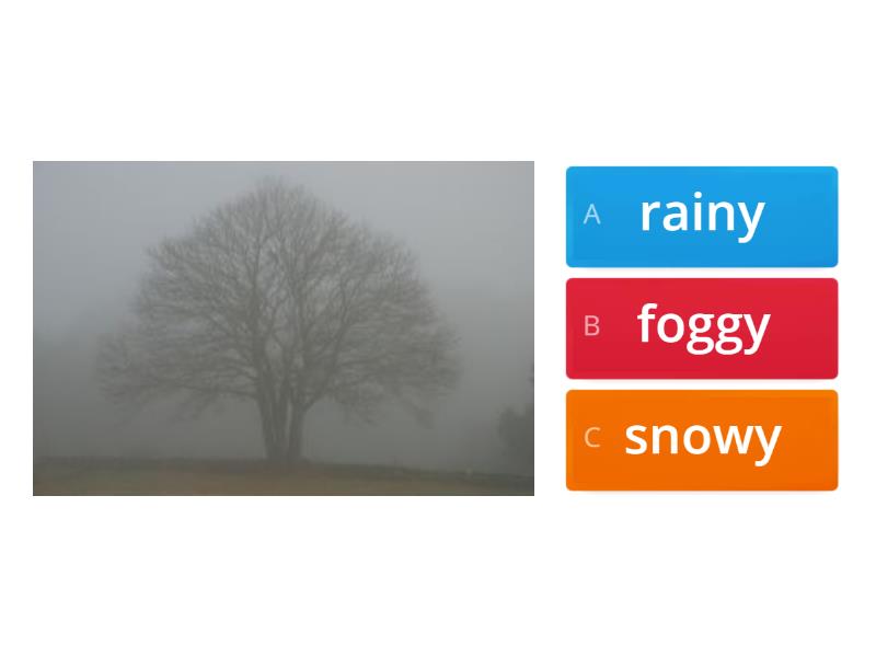 Weather vocabulary - Il tempo - Quiz