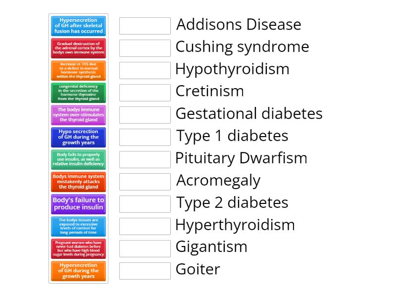 Endocrine System Diseases - Match up