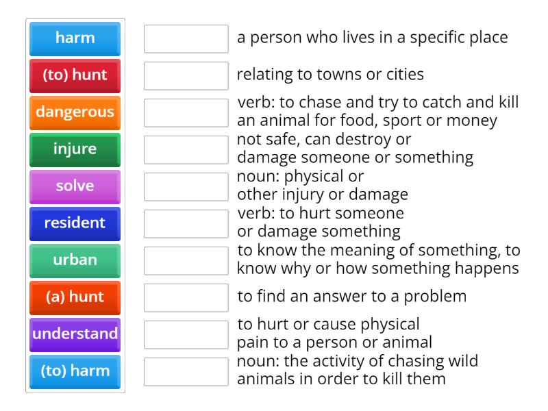 Sec B1 - Big or Small - Urban Animals Vocab - Match up