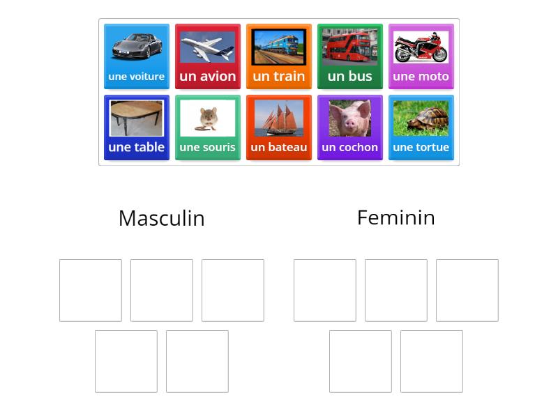 French Gender Sort - Group sort