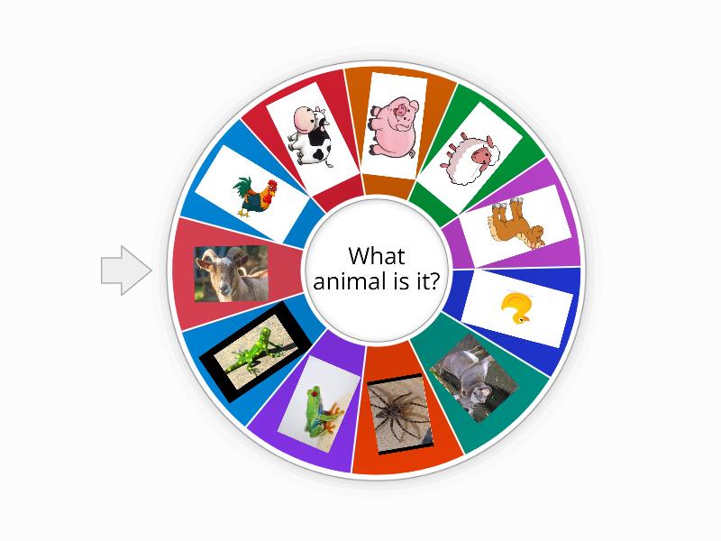 farm animals - Spin the wheel