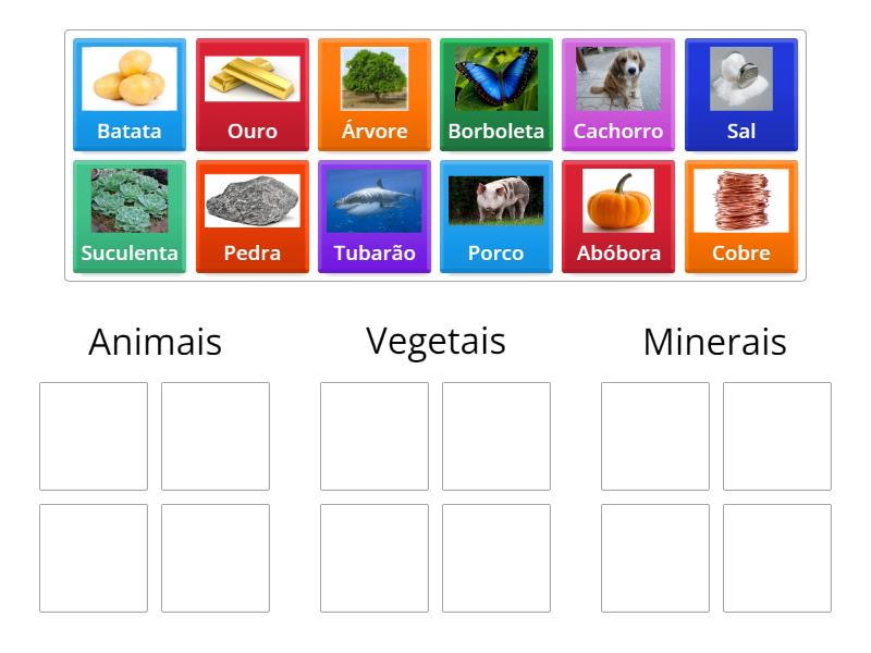 Animais, vegetais e minerais - Group sort