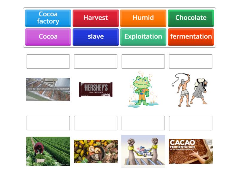 Chocolate vocabulary - Match up