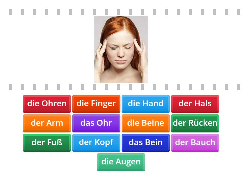 Momente A1.2 [L18] Was tut Ihnen weh? - Mein Kopf tut weh. / Der Kopf ...