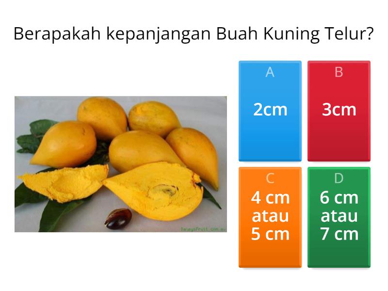 BUAH KUNING TELUR - Quiz