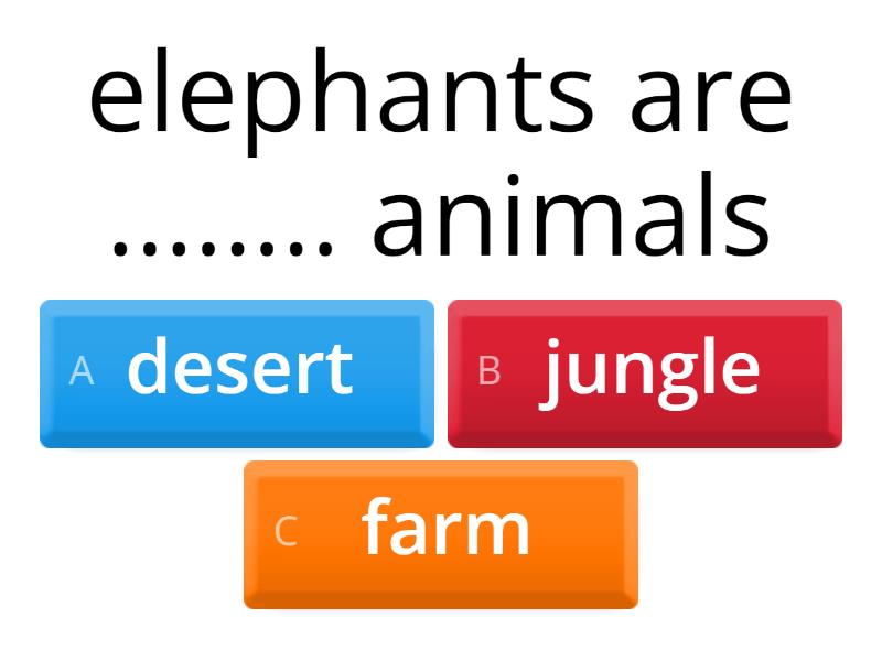 Grade 1A English - Quiz