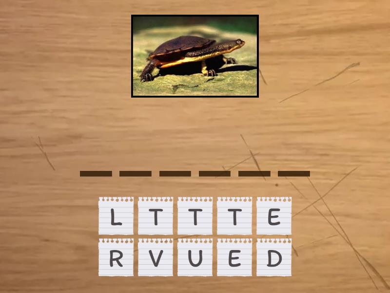 Go Getter 4 Unit 6.1 Wild animals - Spell the word