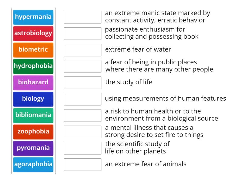 Wilson 11.5 Greek Prefixes and Roots - Match up